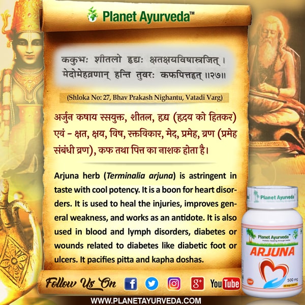 Arjuna for Heart, Herbal Remedies for Heart, Herbal Heart Care, Heart ...