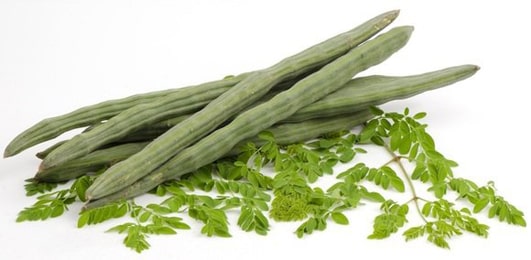Shigru, Drumstick (Moringa oleifera) - Uses, Benefits & Dosage