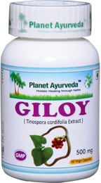 Giloy Plant – Giloy Capsules Benefits and Uses in Ayurveda