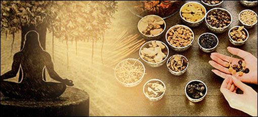 Charaka And Sushruta