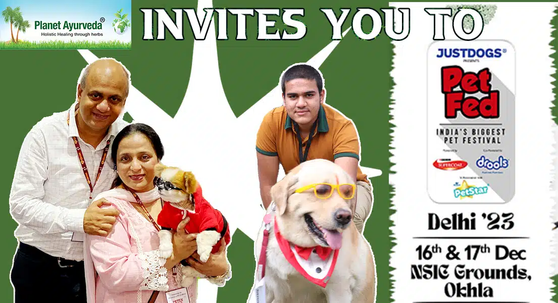 PET FED - India's Biggest Pet Festival, Delhi