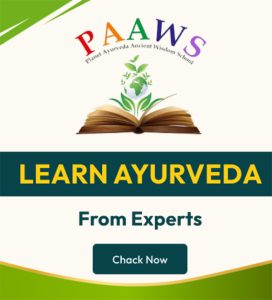 13 Types of Agni in Ayurveda